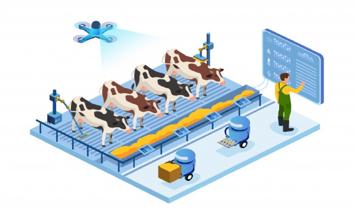 How Digitalization Can Help Improve Dairy Farming - EDairy News India