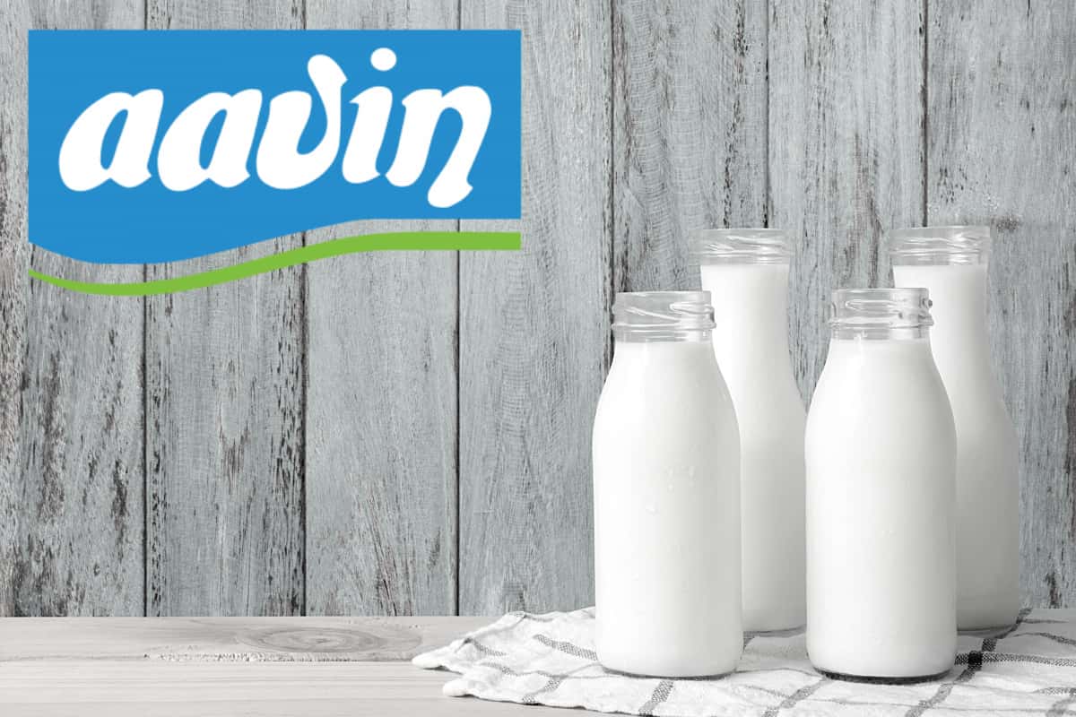 Aavin Gets TNSTC Sweets Packets Order - EDairy News India