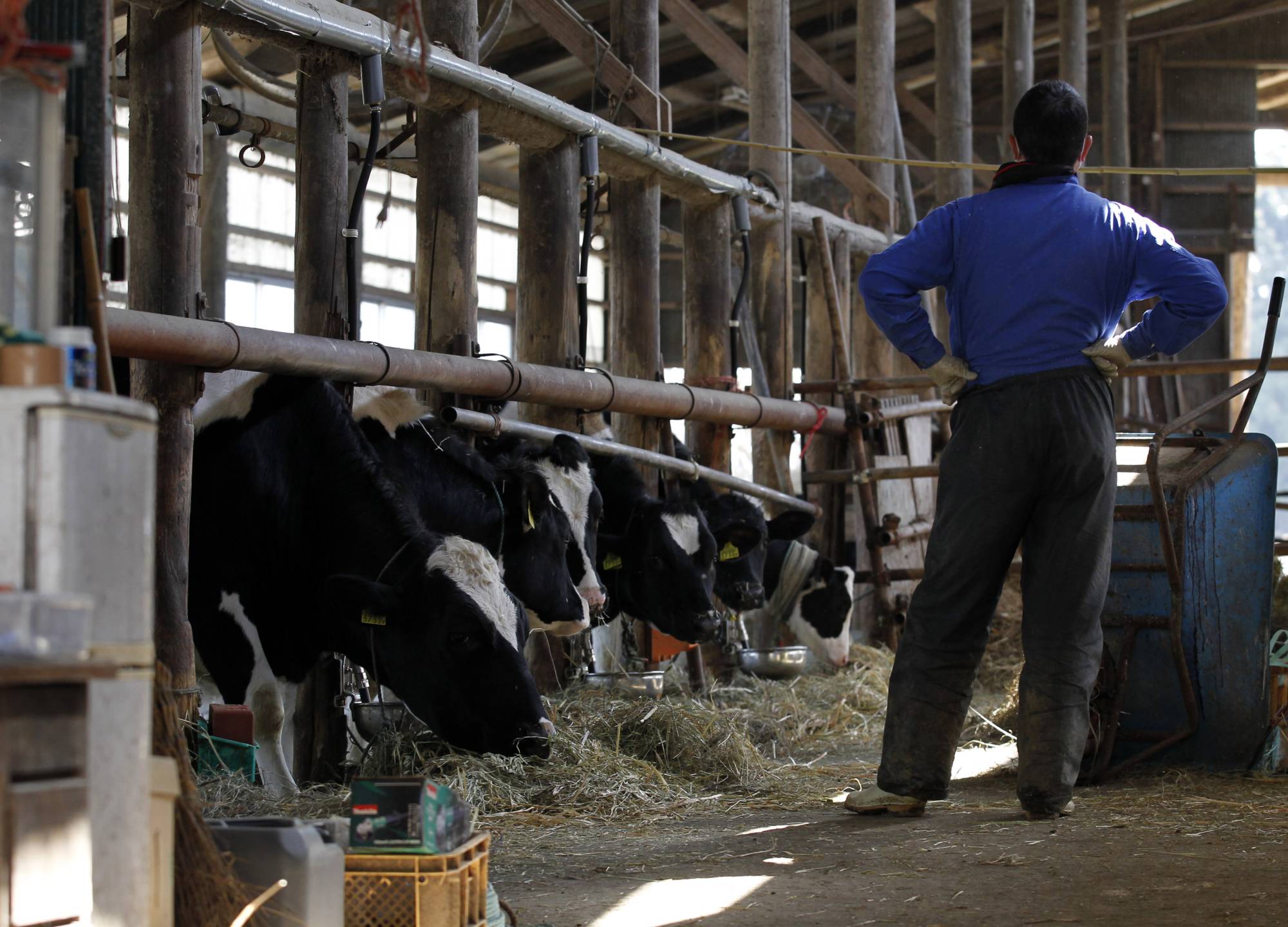 Japan Lacking Dairy Farmers As Cost Of Feed Rises - EDairy News India