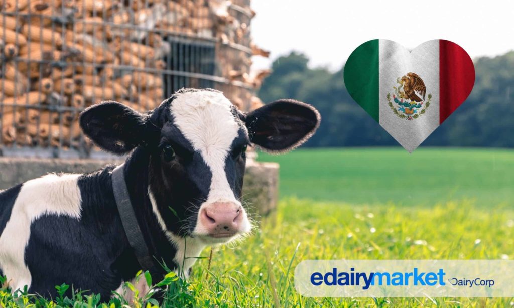 Cadbury's New Chocolate Is Coming: It’s All About Milk - EDairy News India