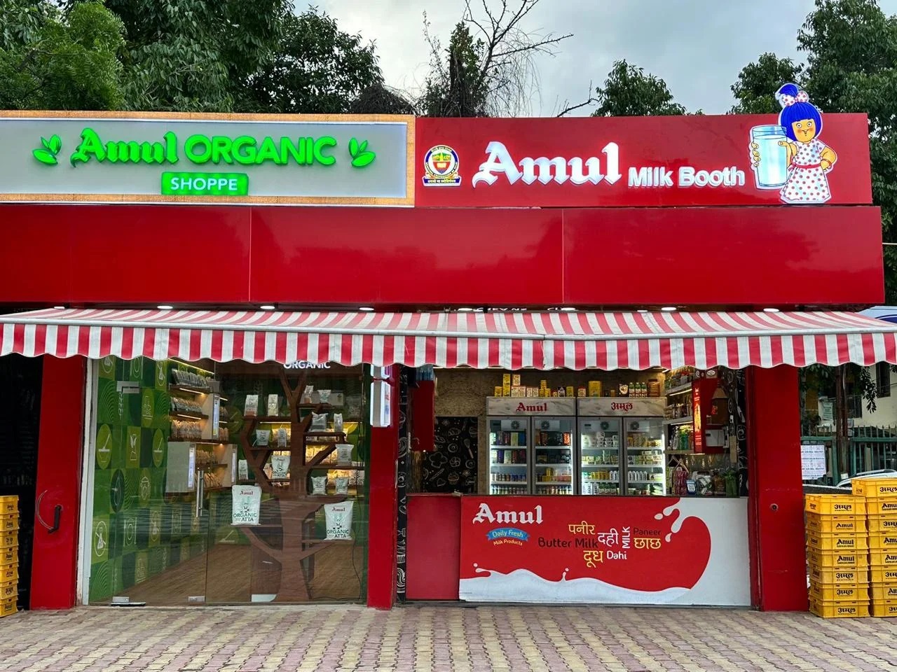 Amul Planning Slow And Steady Expansion In TN: MD - EDairy News India