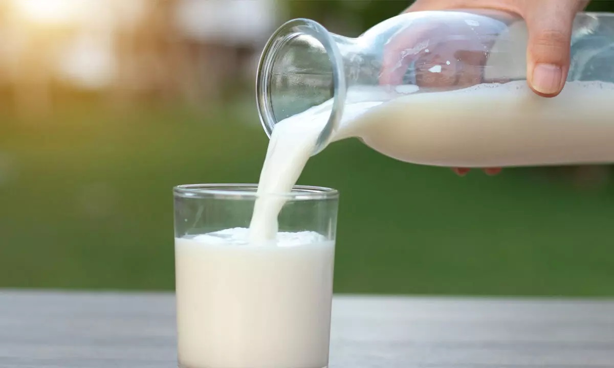 Telangana Dairy Farmers Face Price Adjustments Amid Rising Losses ...