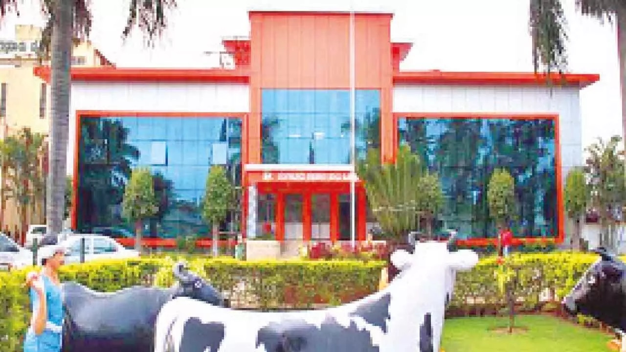 KMF Achieves Milestone: Record 1.06 Cr Litres Of Milk Collected In A ...