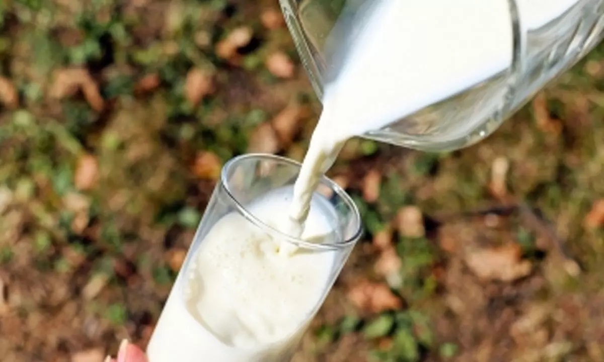 A New Era For Dairy: India's First-Ever Milk MSP - EDairy News India