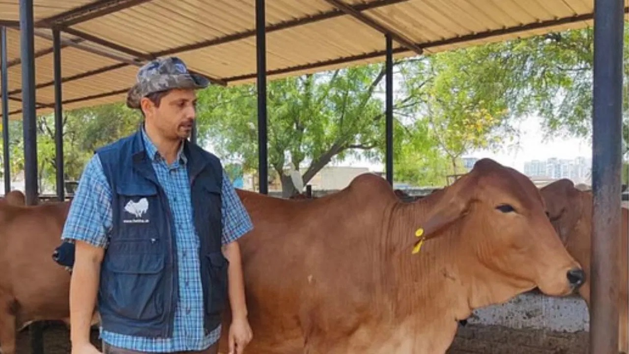 IT To Indigenous Cow King: ₹10 Cr Dairy Empire Built On Desi Breeds 🚀 ...